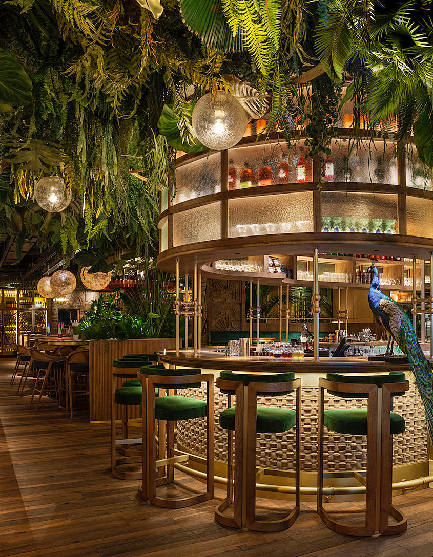 Amazonico | Restaurant & Bar Design Awards