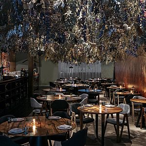 Orana | Restaurant & Bar Design Awards