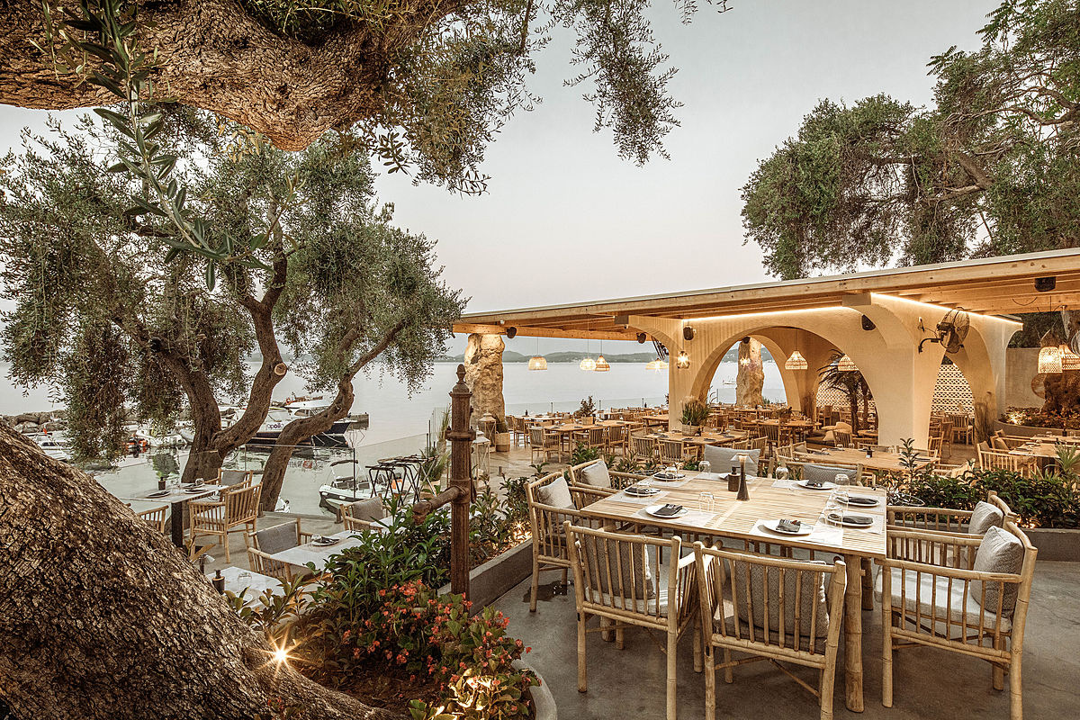 Oliva | Restaurant & Bar Design Awards