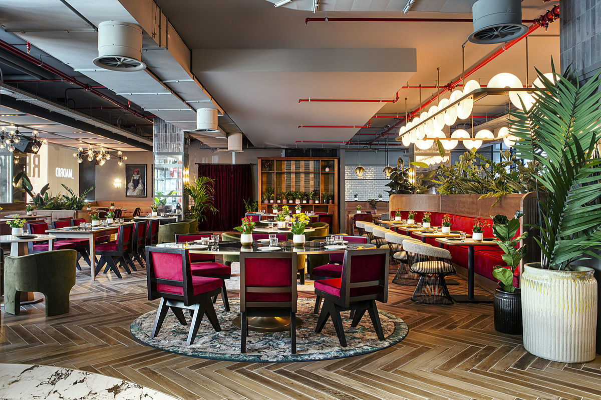 Oso Rojo | Restaurant & Bar Design Awards