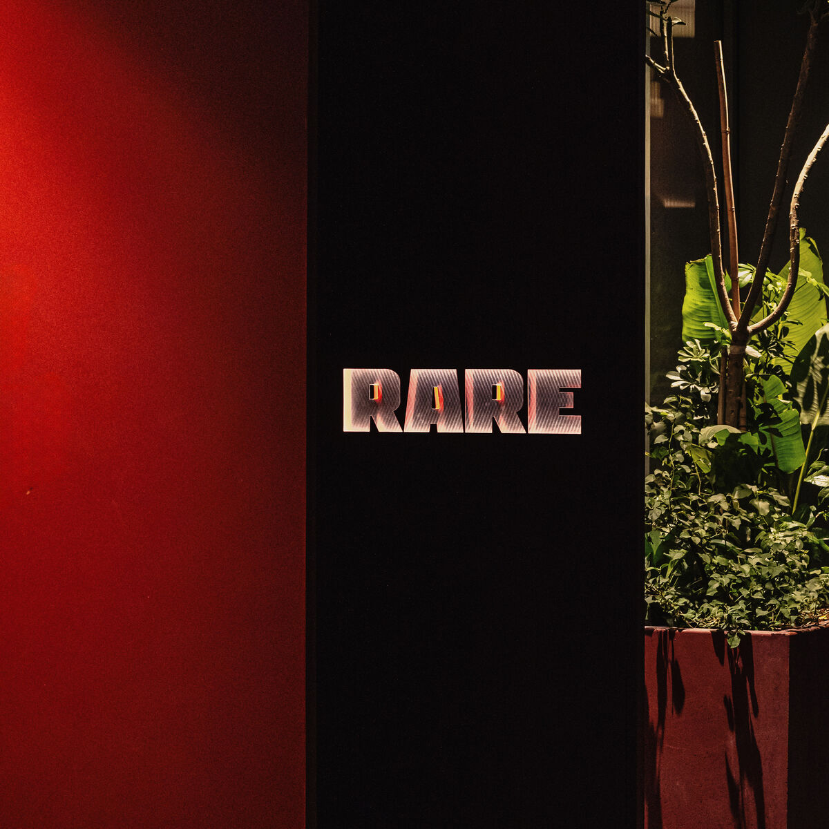 RARE | Restaurant & Bar Design Awards