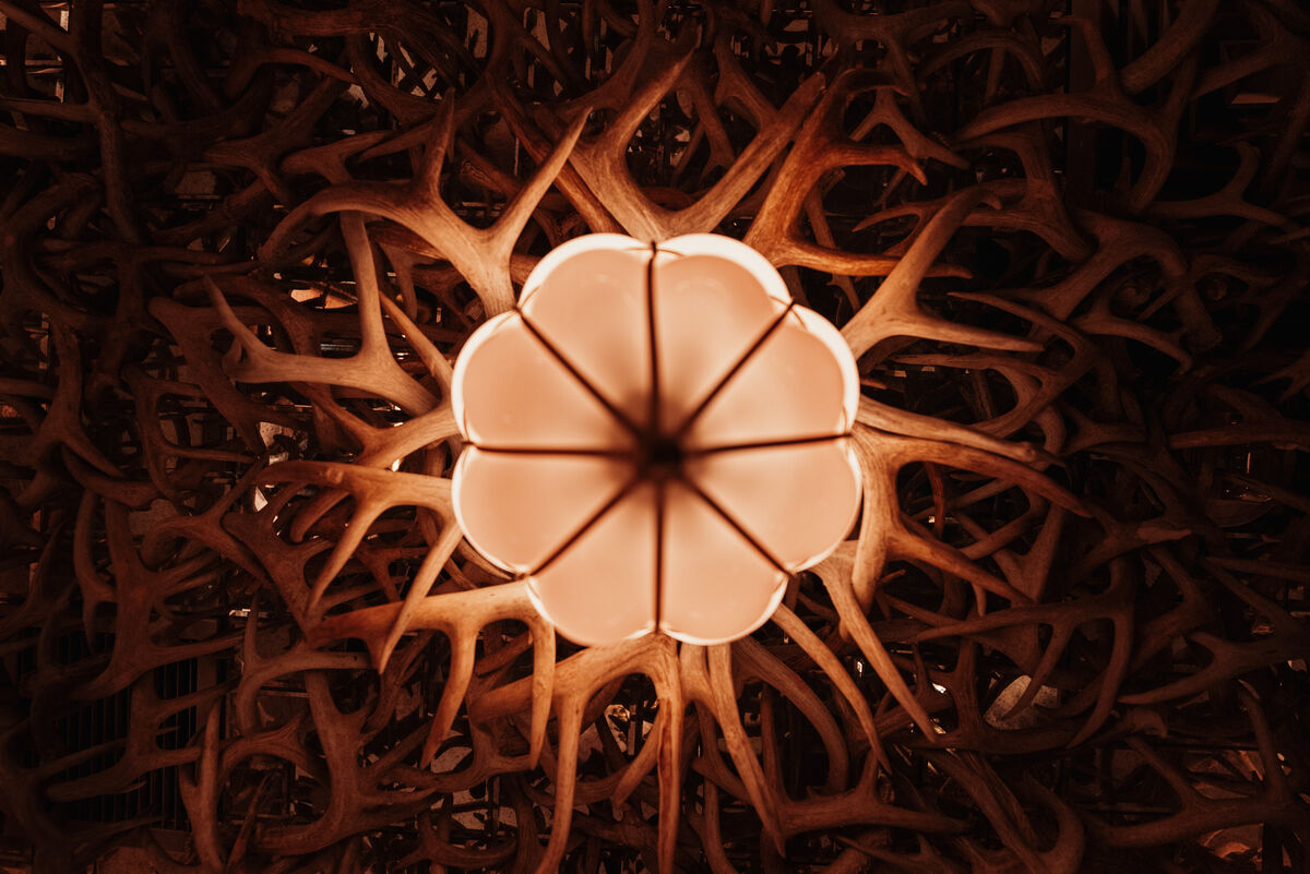 Trophy Room | Restaurant & Bar Design Awards